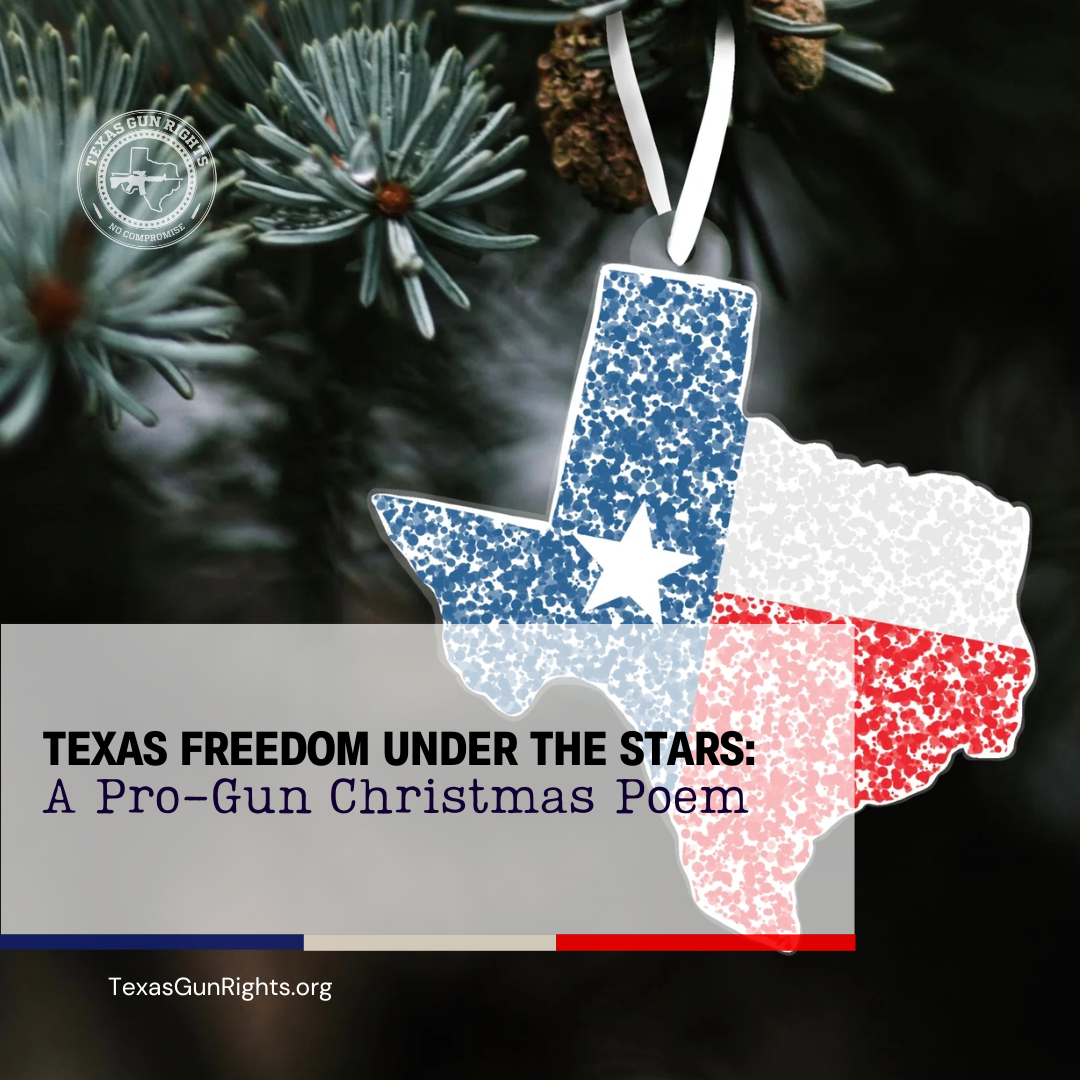 Texas Gun Rights - It’s a Right, not a Privilege | Mobilizing Texans to ...